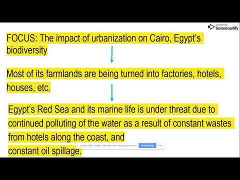 BIO 40 Presentation: Urbanization and Biodiversity