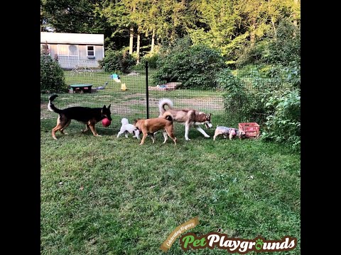 Pet Playgrounds 12 years engineering Low visibility dog fence kits - Secure, NO concrete landscaping