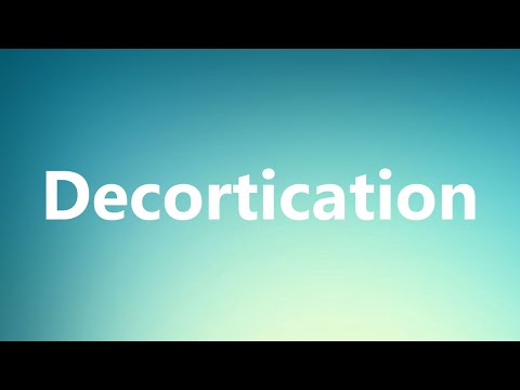 Decortication - Medical Meaning and Pronunciation