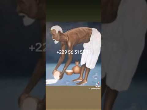 +229 56 31 55 11
