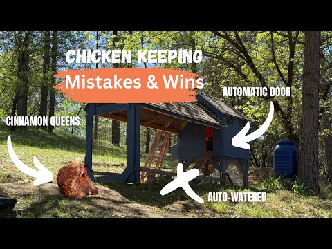 7 Lessons We Learned Raising Chickens (Year 1 Recap!) 🐓🐣