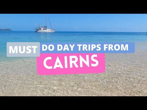 3 Amazing Day Trips From Cairns, Australia - Great Barrier Reef, Daintree Forest, and Fitzroy Island