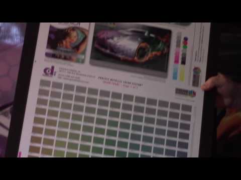 Screen Print - Silver plus CMYK
