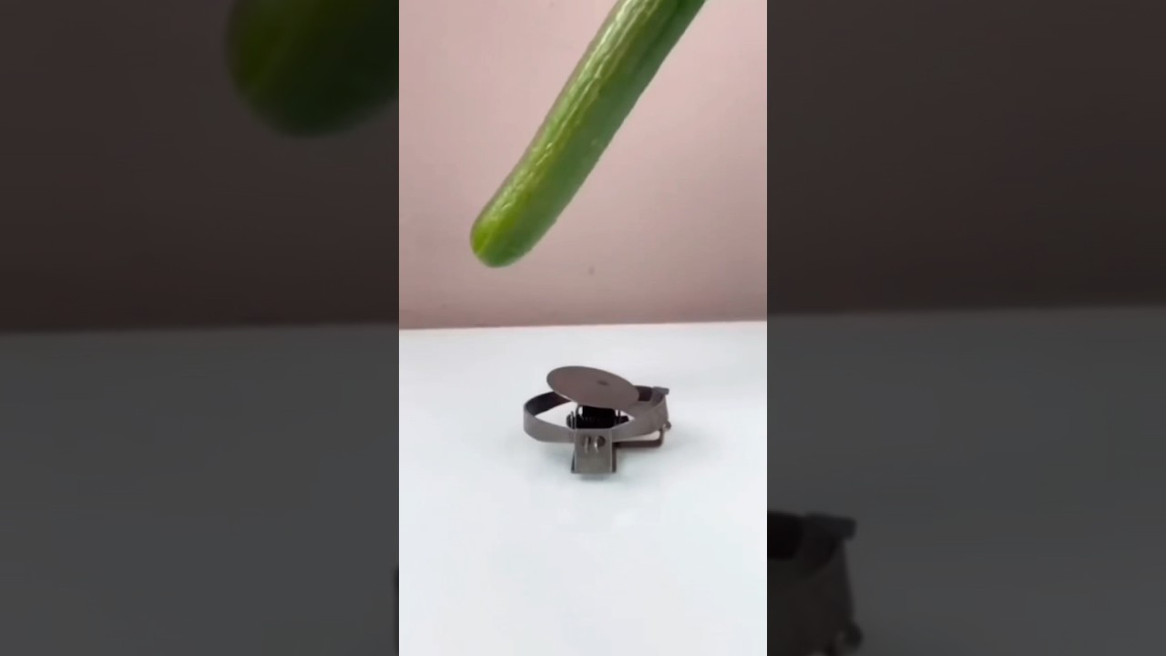 The forbidden amputation