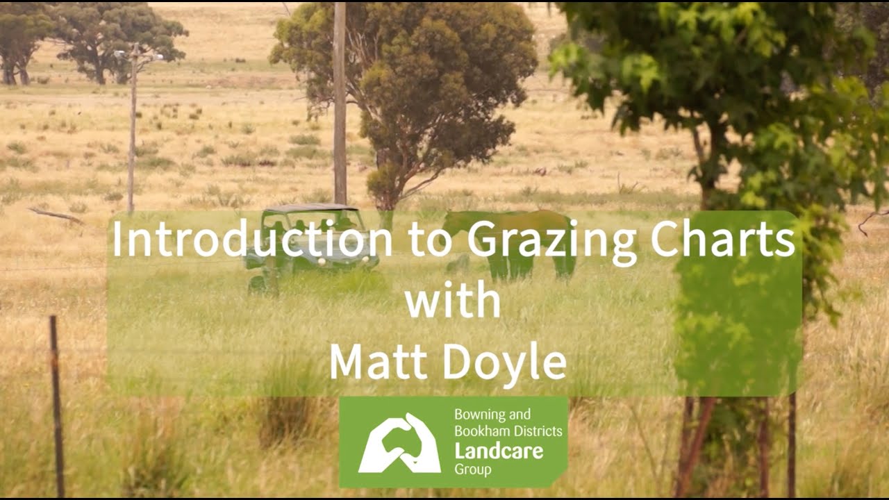 Introduction to Grazing Charts | Let's Try It