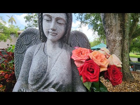 Caballero Rivero Palms Woodlawn Cemetery 6/27/23. Miami-Dade County, Fl.