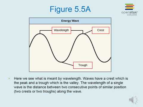A Unit 5 Photosynthesis Part A