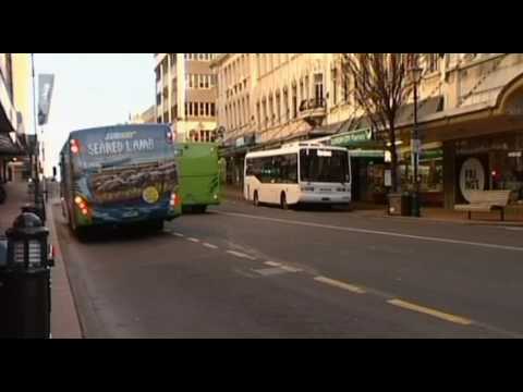 Otago Regional Council to streamline local bus network