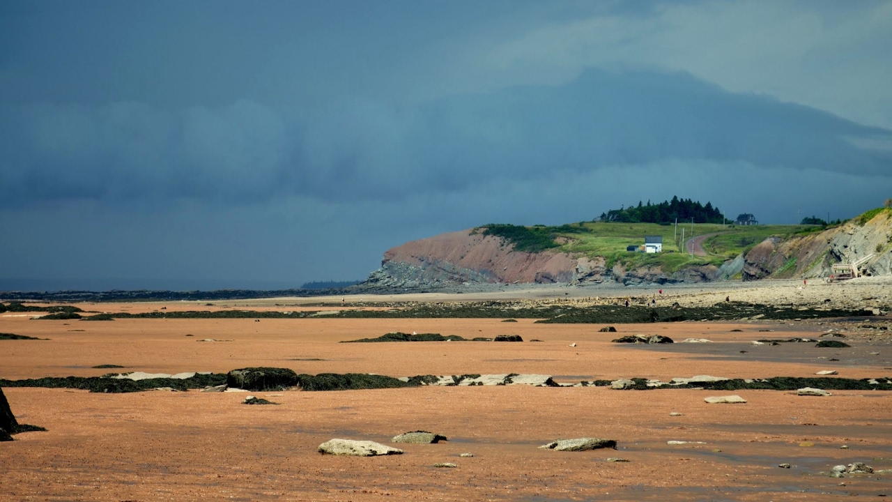 Quick Guide - Collaborative Writing