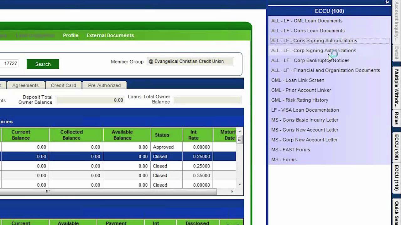 MVi with OSI DNA Integration