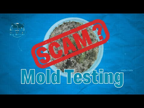 Scammed By Mold Tester and Mold Testing Conflicts of Interest