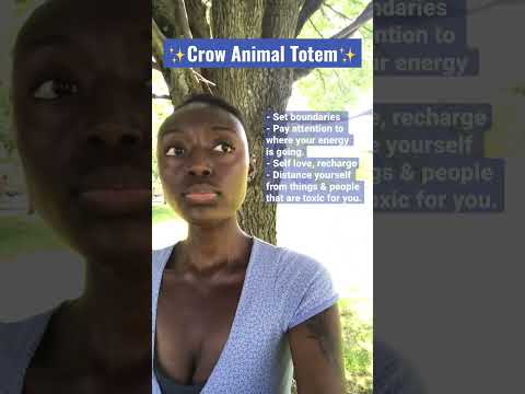 Crow Symbolism | Crow Meaning š« #crowanimaltotem #selflove #boundaries #oracle