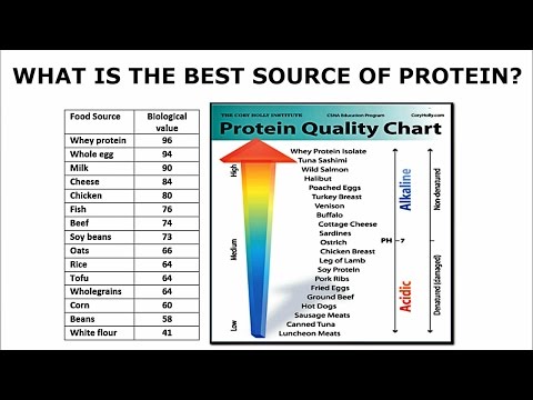 What is the best source of protein from a biological perspective?