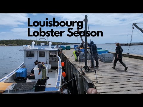 Louisbourg Lobster 🦞 Season