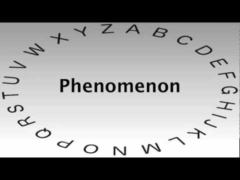 Spelling Bee Words and Definitions β Phenomenon