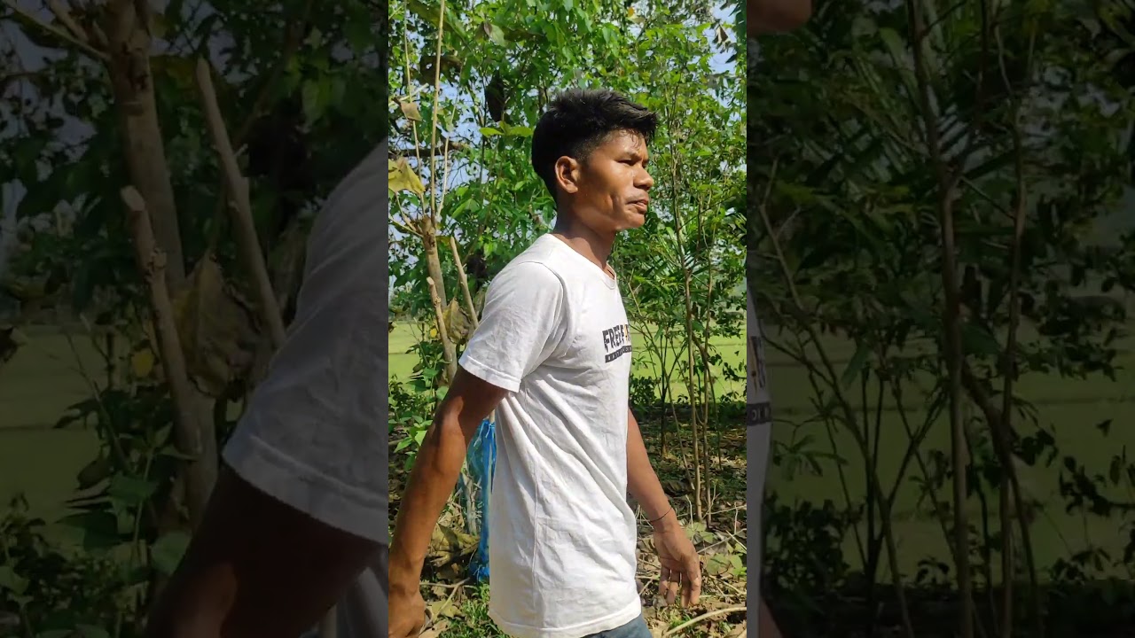 Da.alde short video #viralvideo 👉 #facebook  #https://www.facebook.com/profile.php?id=61555975888