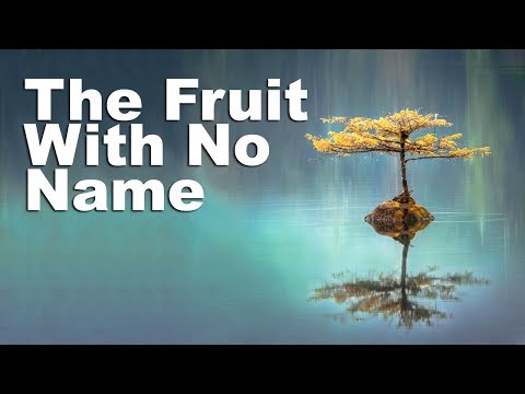 The Fruit With No Name - Gentleness and Peace of Mind