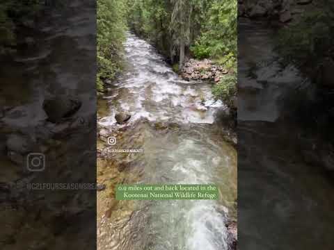 LET’S GO FOR A HIKE: Myrtle Falls Trail, Bonners Ferry, Idaho ⛰️