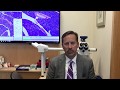 David Tuveson Profile | Cold Spring Harbor Laboratory