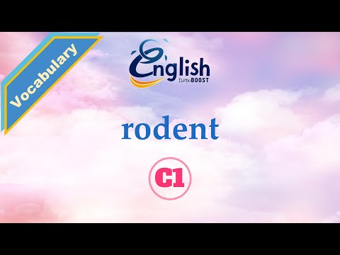 Rodent - Meaning, Pronunciation, & Examples | C1 | Learn English Vocabulary