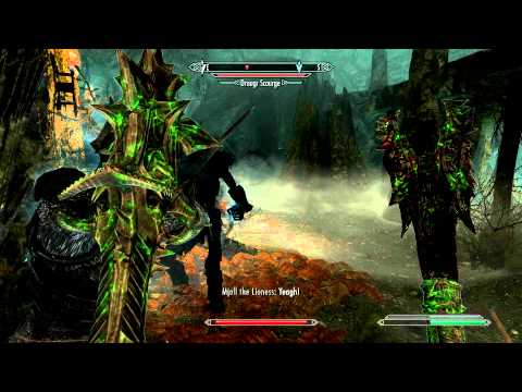 Steam Community :: Video :: TES SKYRIM : Shalidor's Insights