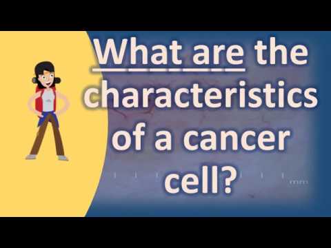 What are the characteristics of a cancer cell ? |Find Health Questions