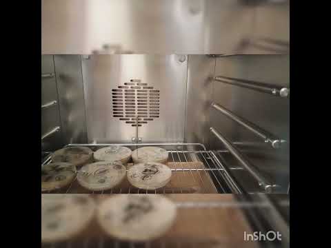 Incubator, Microscopic Incubator for Microbiology , Microscopic eggs incubation, microbiology