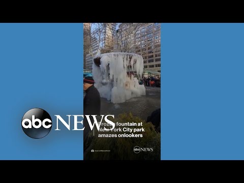 Frozen fountain amazes onlookers at New York City park