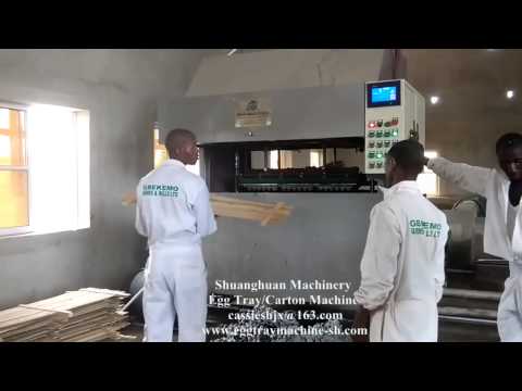 SHW-700A/SHW-1000A egg tray machine in Nigeria egg tray production line
