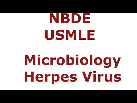 Herpes Virus NBDE & USMLE - HSV1 - HSV2 - VZV - EBV - CMV - HHV8