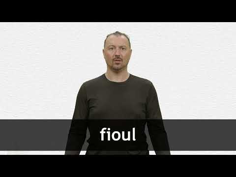 English Translation of “FIOUL” | Collins French-English Dictionary