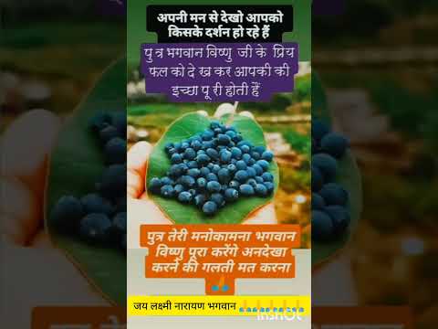भगवान विष्णु का प्रसाद अनदेखा ना करे #vishnu #laxminarayan #vishnumantra