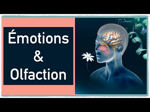 Émotions et olfaction – PhytoGenfi
