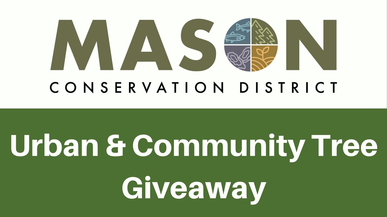 2025 MCD Urban & Community Tree Giveaway
