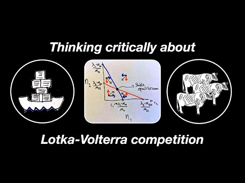 GitHub - eco-evo-thr-2022/08-lv: The Lotka-Volterra Model
