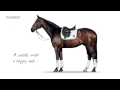 Passier Compact Dressage Saddle - SmartPak Equine