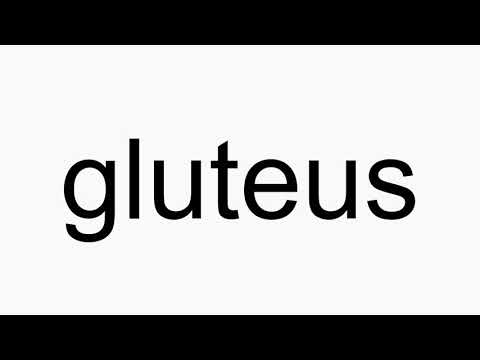 How to pronounce gluteus