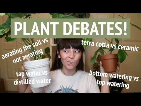 MY OPINIONS ON COMMON PLANT DEBATES