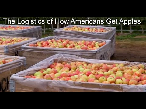 The Logistics Of How Americans Get Apples