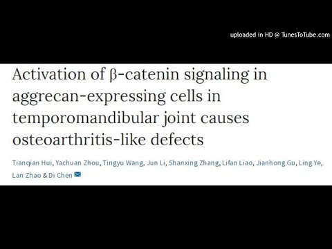 Activation of β-catenin signaling causes osteoarthritis-like defects