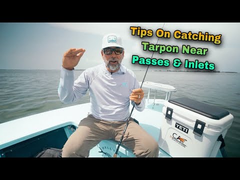Tips On Catching Tarpon Near Passes & Inlets - Flats Class University