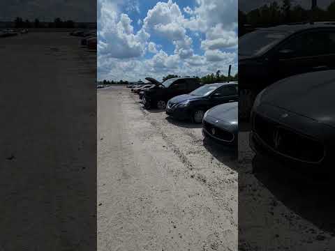 The largest car auction in the USA