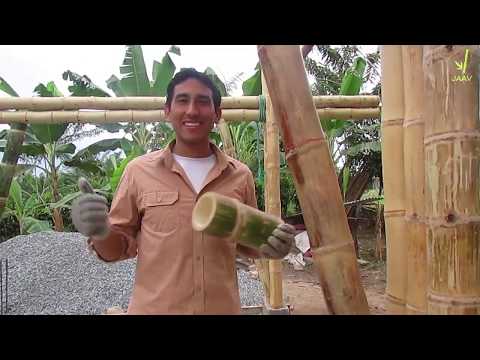 PRESERVACIÓN DEL BAMBÚ-SEGÚN NORMA TÉCNICA