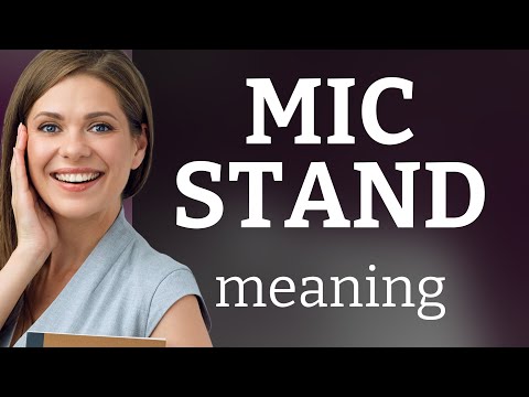 Understanding the Phrase "Mic Stand" in English