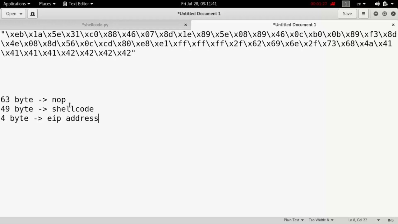 32- Advanced Gaining Access - Buffer Overflow - (Shellcode)
