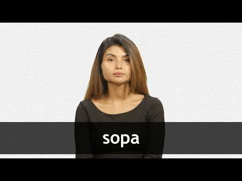 English Translation of “SOPA” | Collins Spanish-English Dictionary
