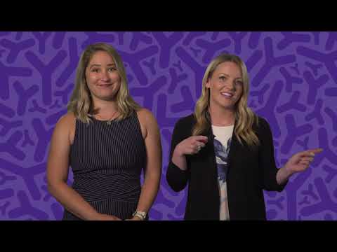 CDHF Talks Pancreatic Health Part 1: Overview of the Pancreas