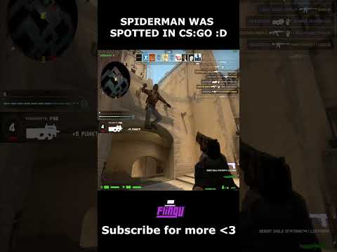 Steam Community :: Video :: I SPOTTED SPIDERMAN IN CS:GO! #shorts