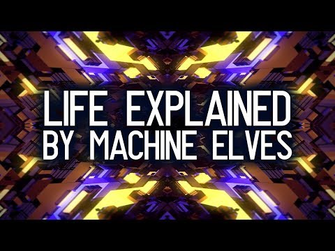 What life is about. Life meaning explained by the entities