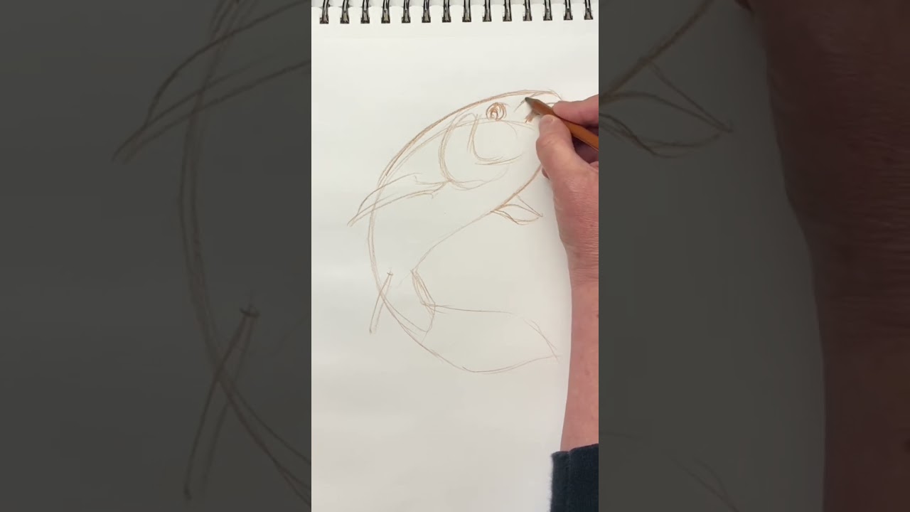 How to draw a koi, detail of long lesson #koi #fish #luckykoifish #drawing